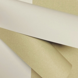 Paper & Paperboard, Paper/Paper Board Manufacturers | Golden Paper Group