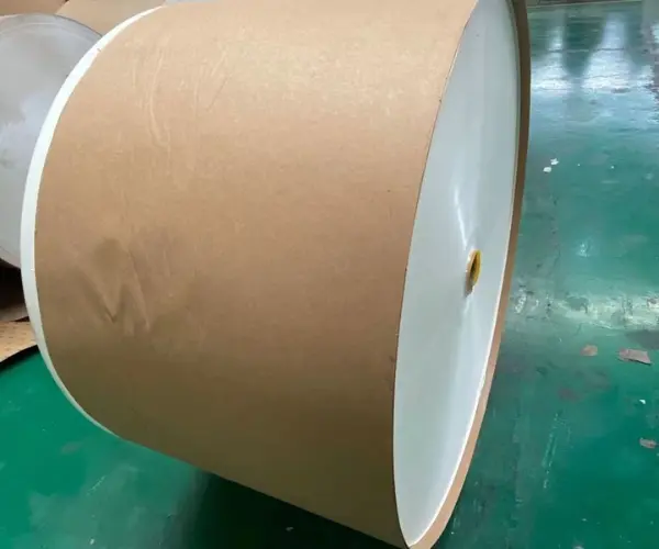 Cup Stock Paper, Cupstock Board | Golden Paper Group