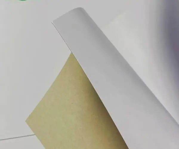 White Top Testliner, White Testliner, White Testliner Paper | Golden ...